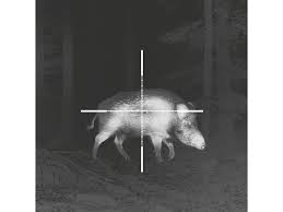 pT50 2 - Will's Optics